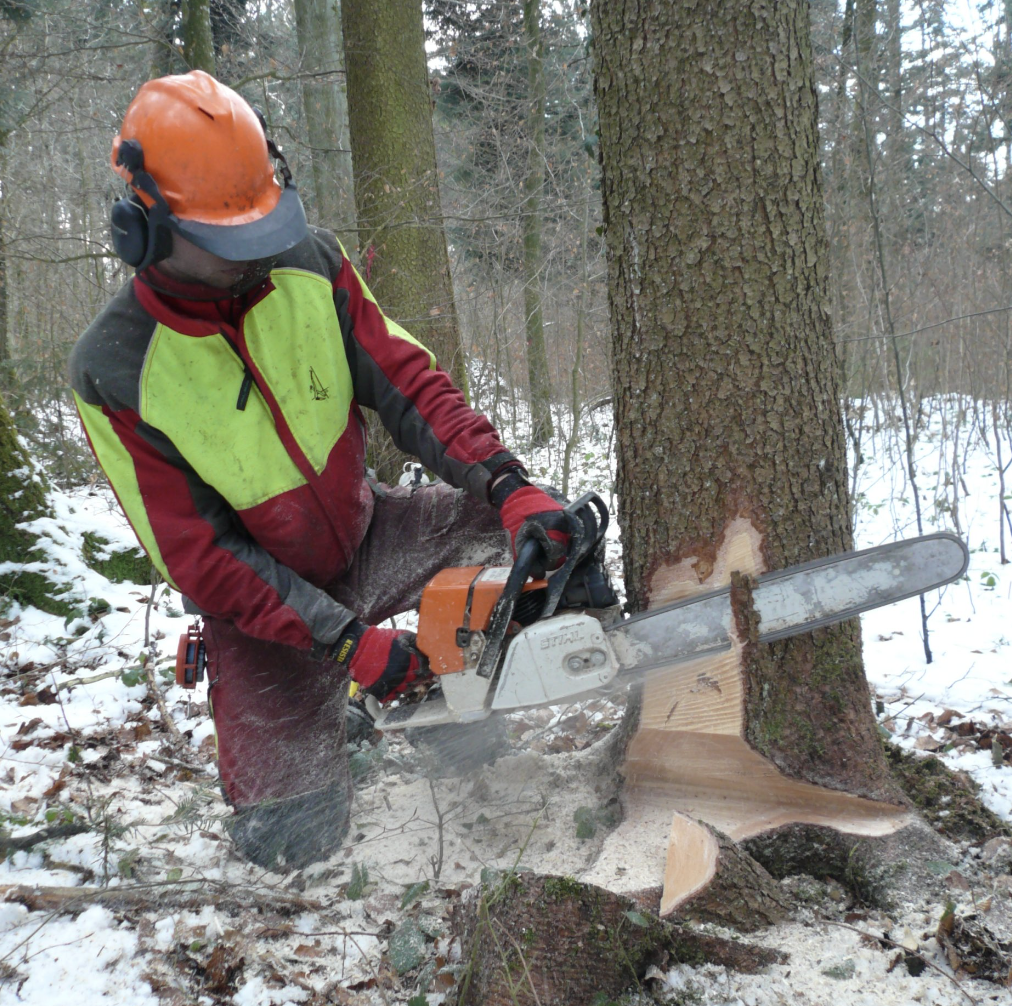 Partner werden - FSC-Ökosystemleistungen fördern